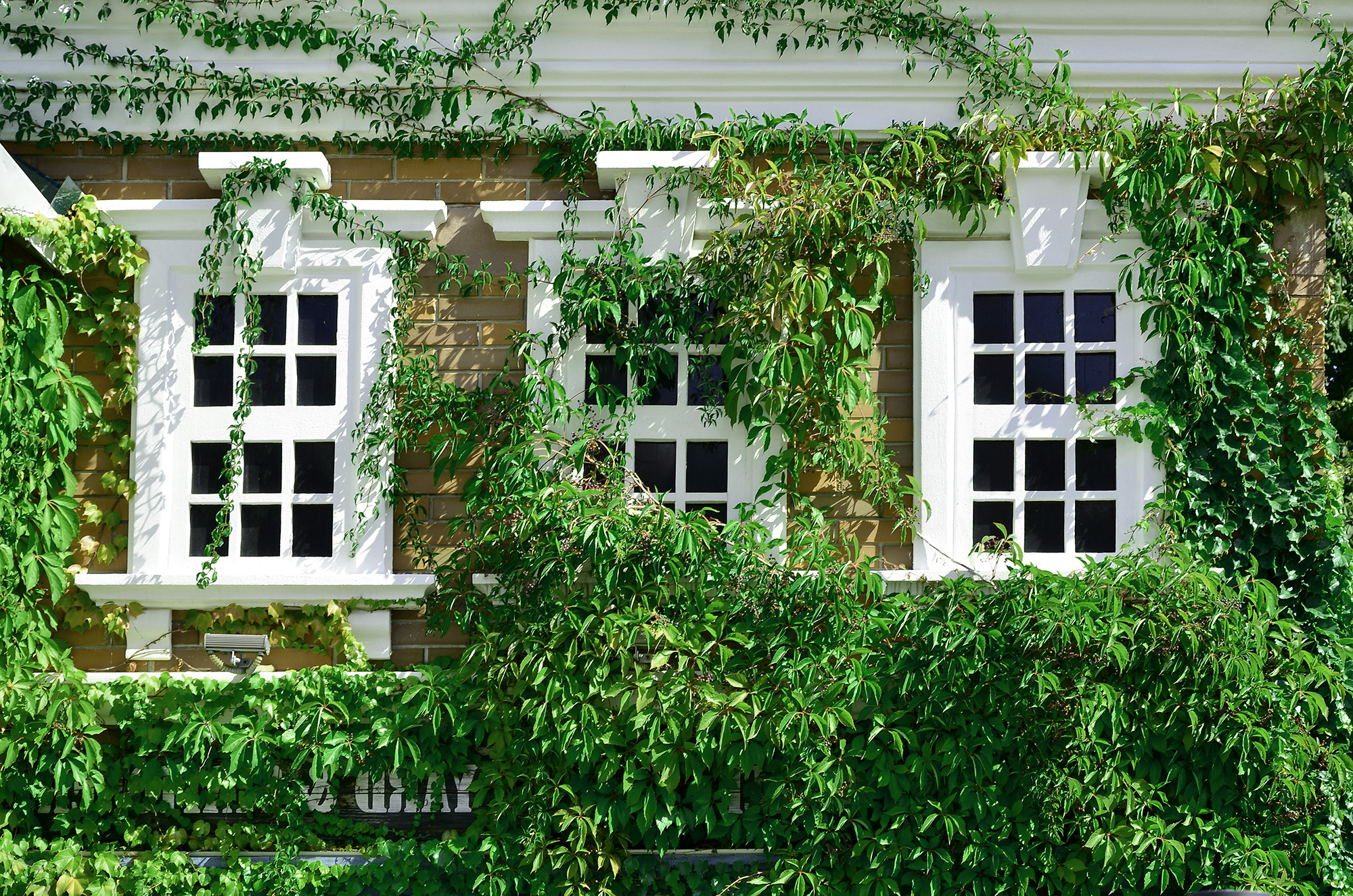 Sash Windows Haringey: The Timeless Elegance of PM Windows Ltd - BBAA ...